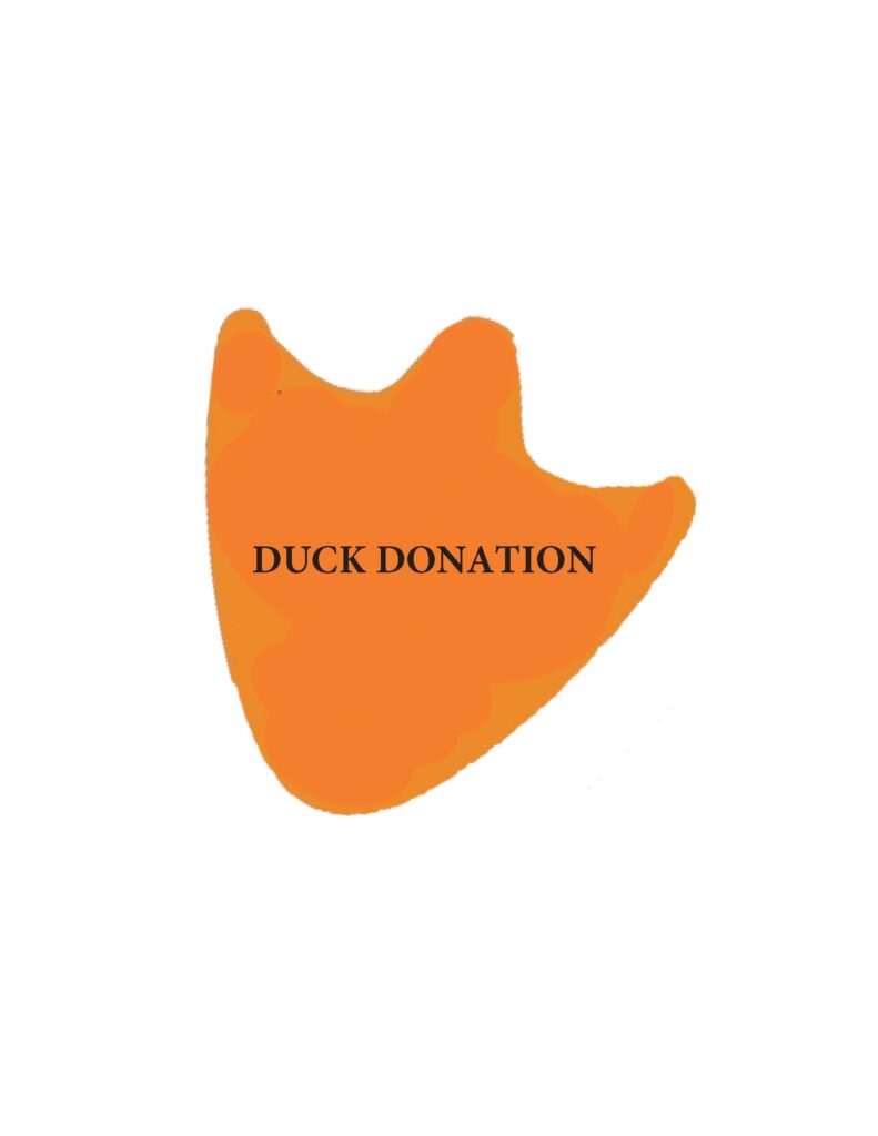 Fall 2020 Duck Fundraiser – Dennis Conservation Land Trust