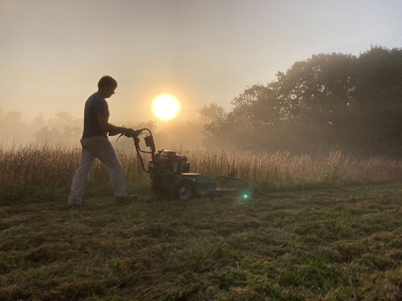 Land Stewardship – Dennis Conservation Land Trust