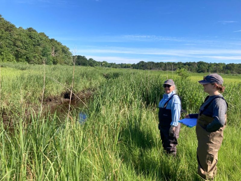 Community Science – Dennis Conservation Land Trust