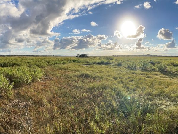 Our Work – Land Conservation – Dennis Conservation Land Trust